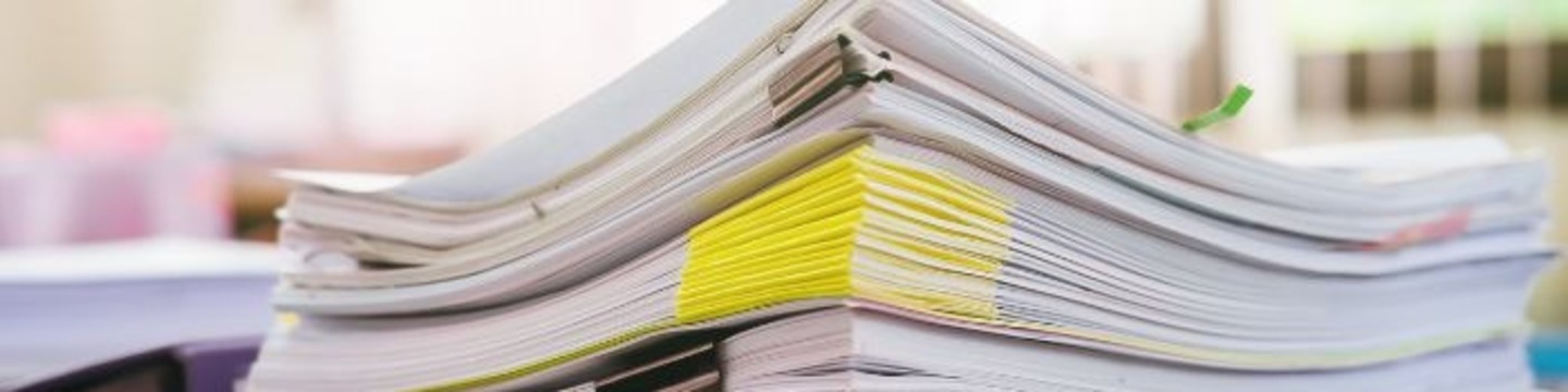 Project: City Plan 2041: key documents | Brighton & Hove City Council